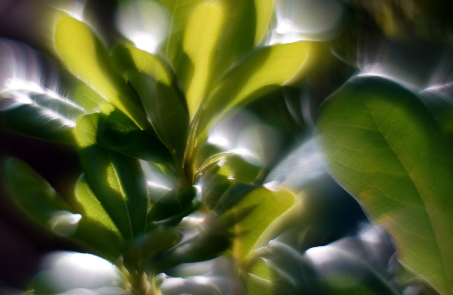 Abstract - No Words - Photo.net