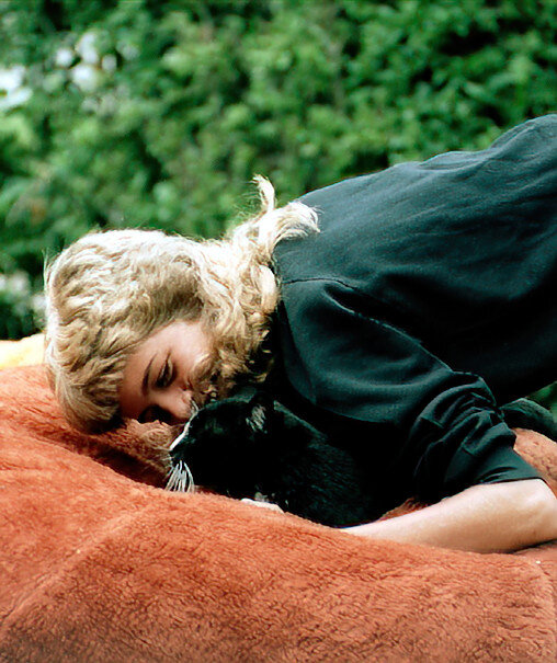 Caress - No Words - Photo.net
