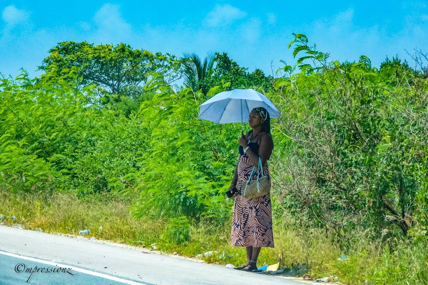 Parasol - No Words - Photo.net