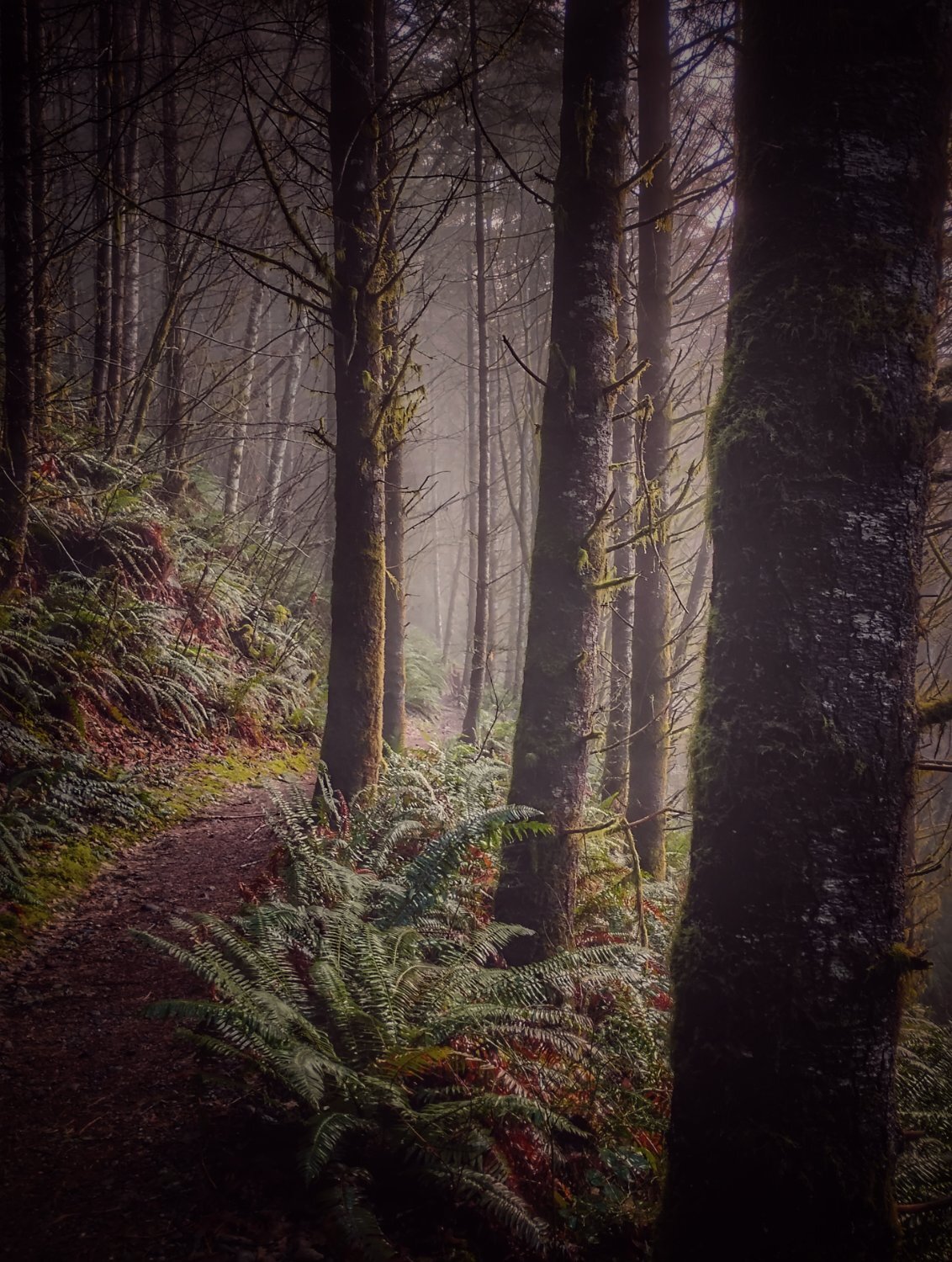 Nature - Seeking Critique - Photo.net