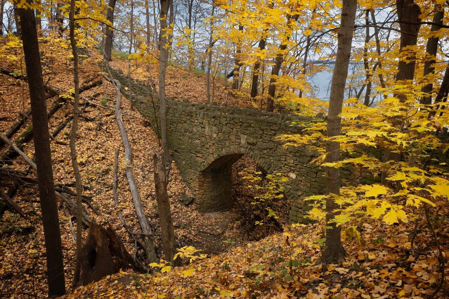 Arch - No Words - Photo.net