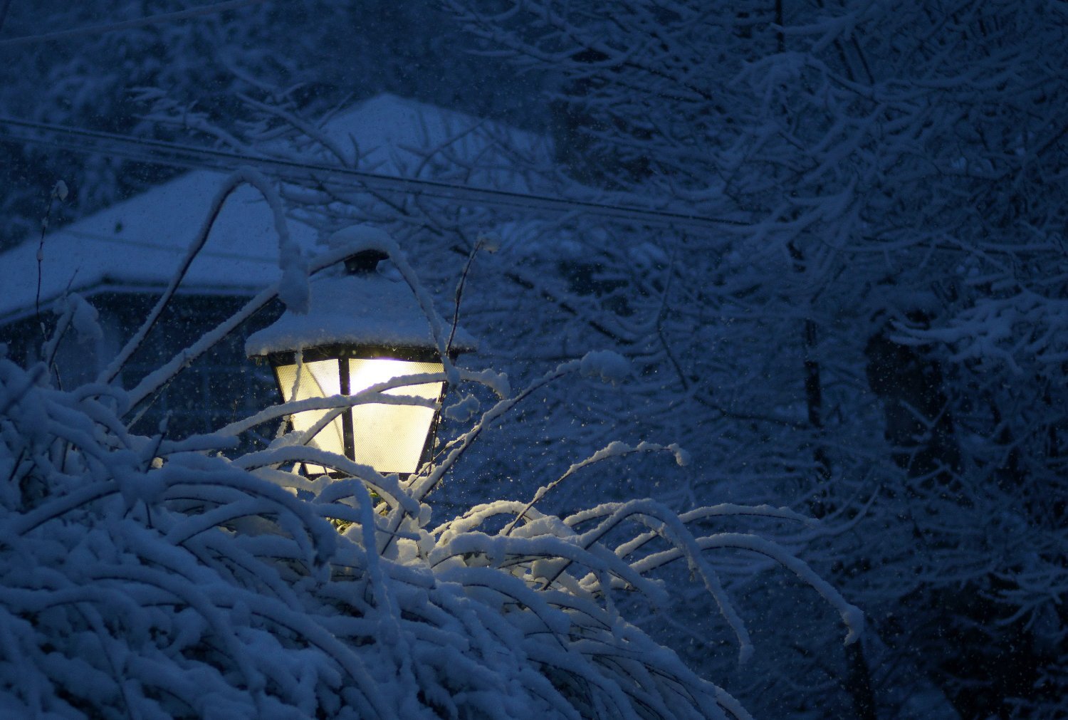 Snow - No Words - Photo.net