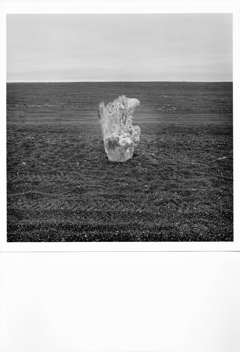 Ocean, Shoreline, Beach Landscape - No Words - Photo.net