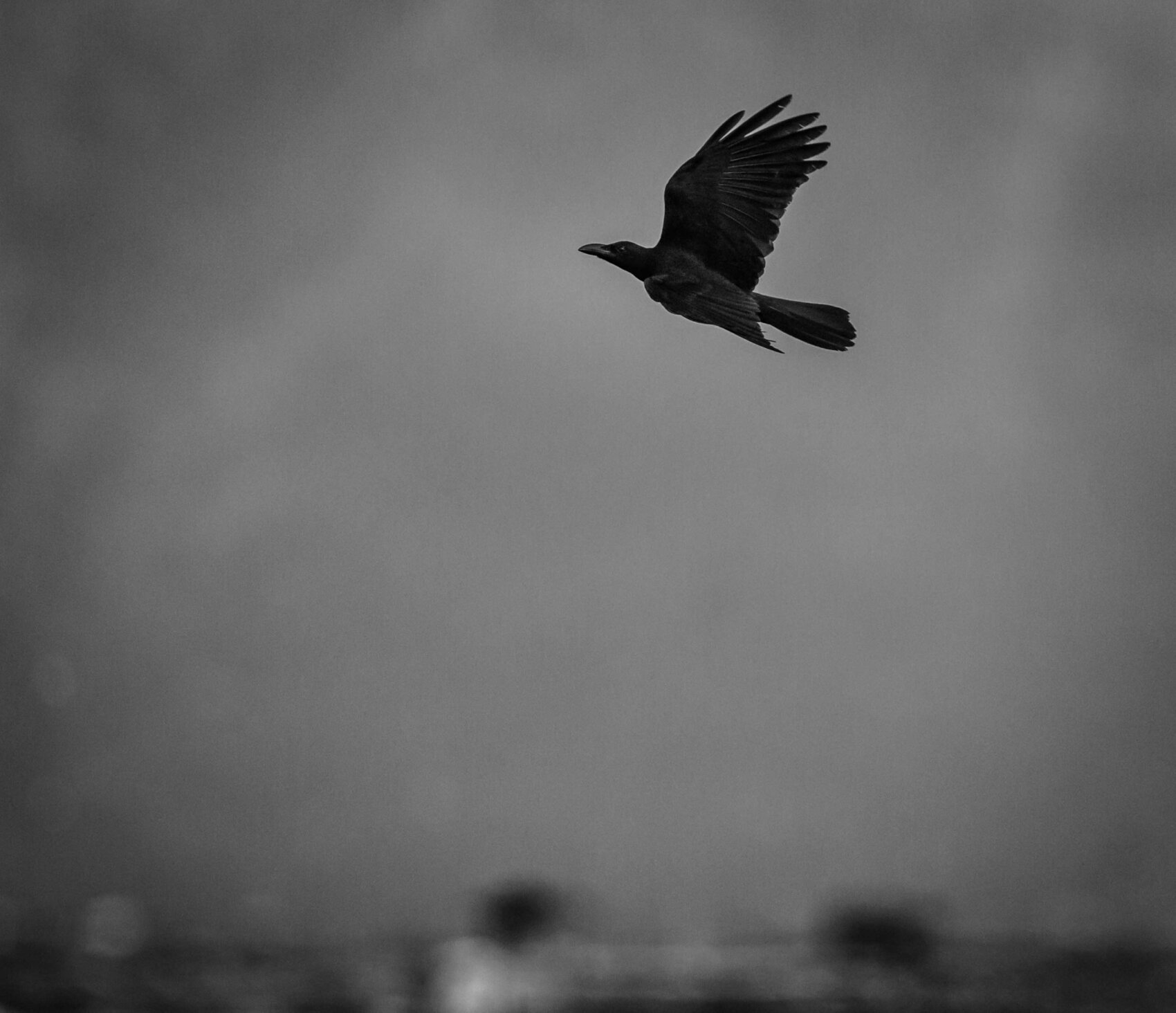 Gloom - Monochrome - Photo.net