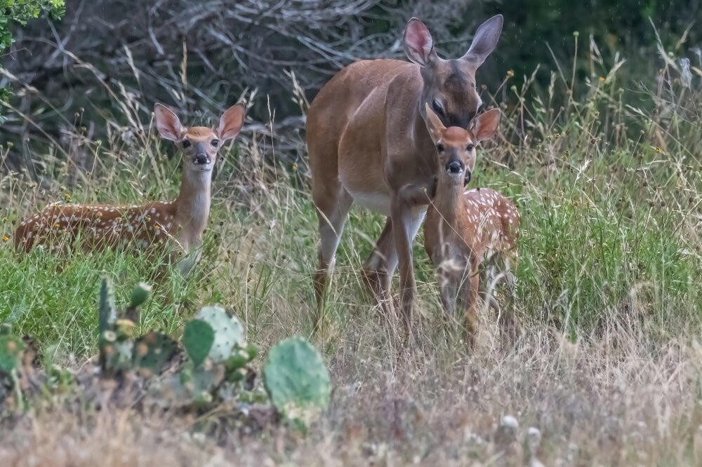 Family outing - No Words - Photo.net