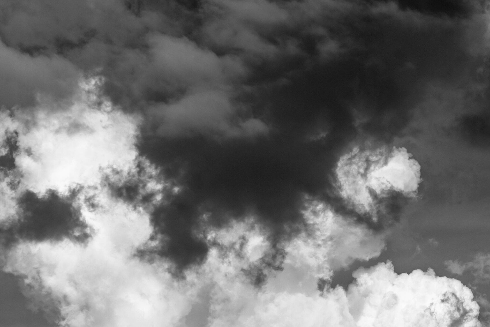 Conflict - Nature - Photo.net