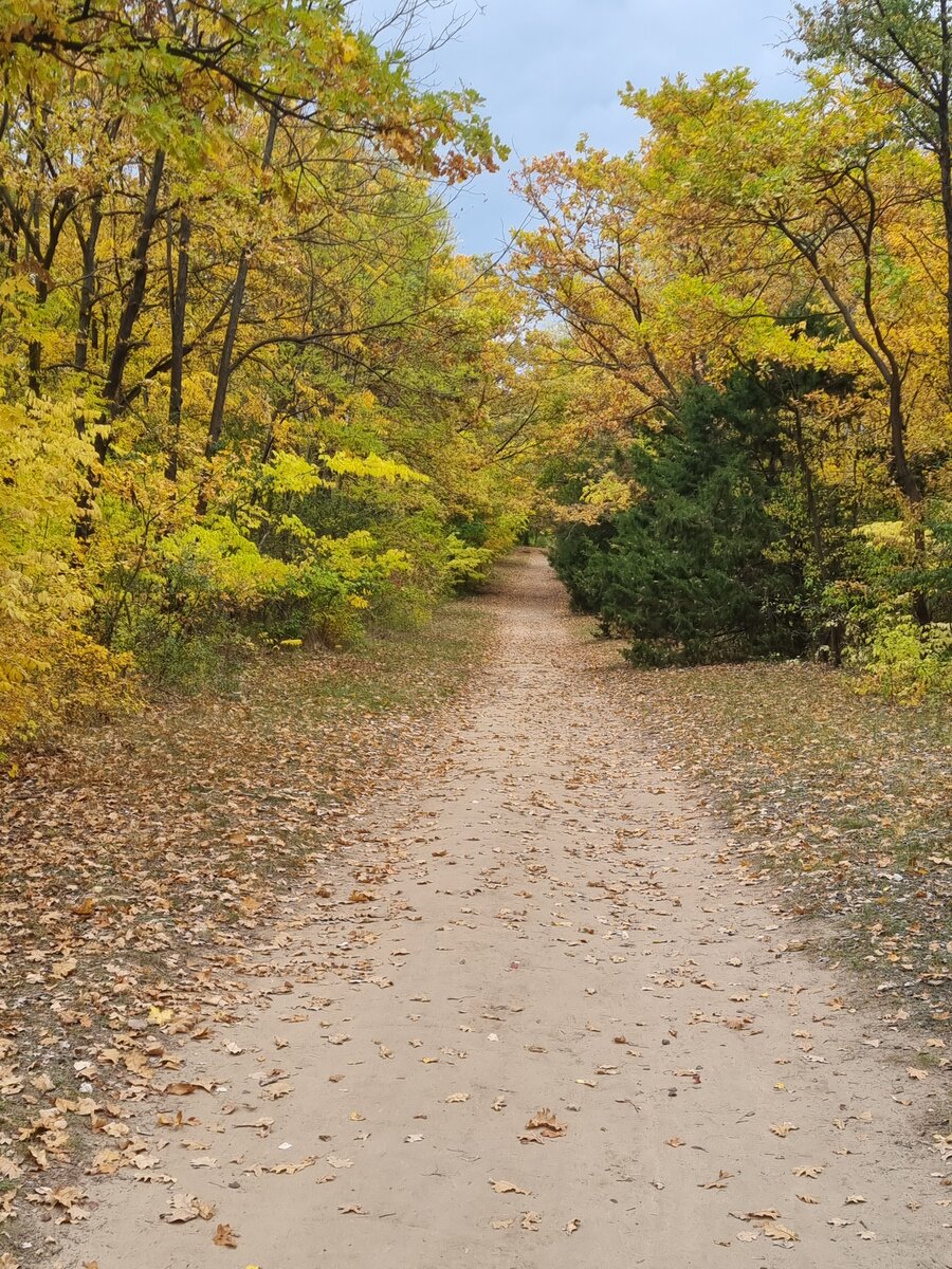 Autmn in the arboretum - The Bright Side (of Life) - BenzoBuddies