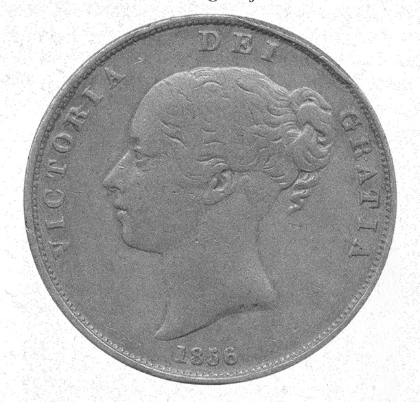 1874 London shield a true rarity? - Gold - The Silver Forum