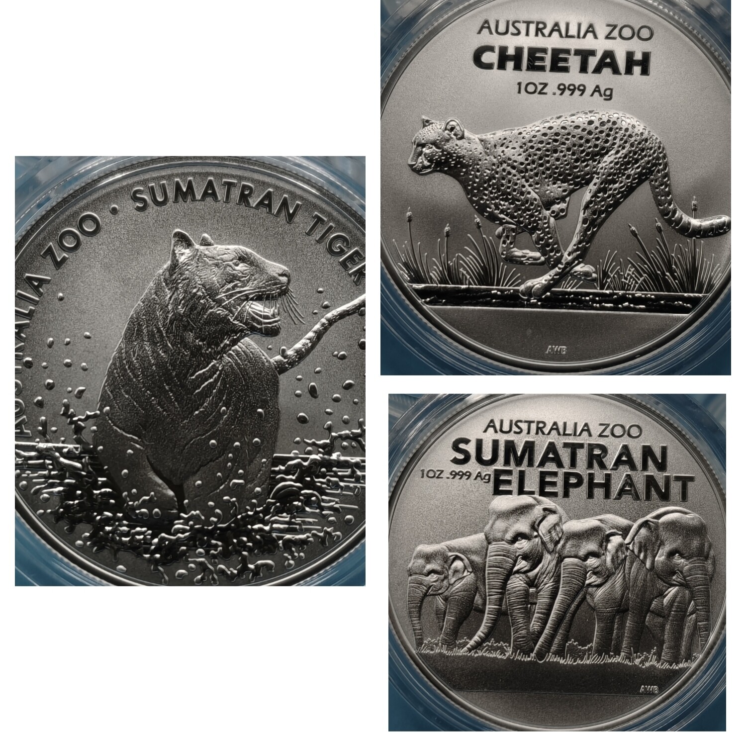 Australian Zoo - Awesome Premium Coins - Panda Price - 999 Silver Coins ...
