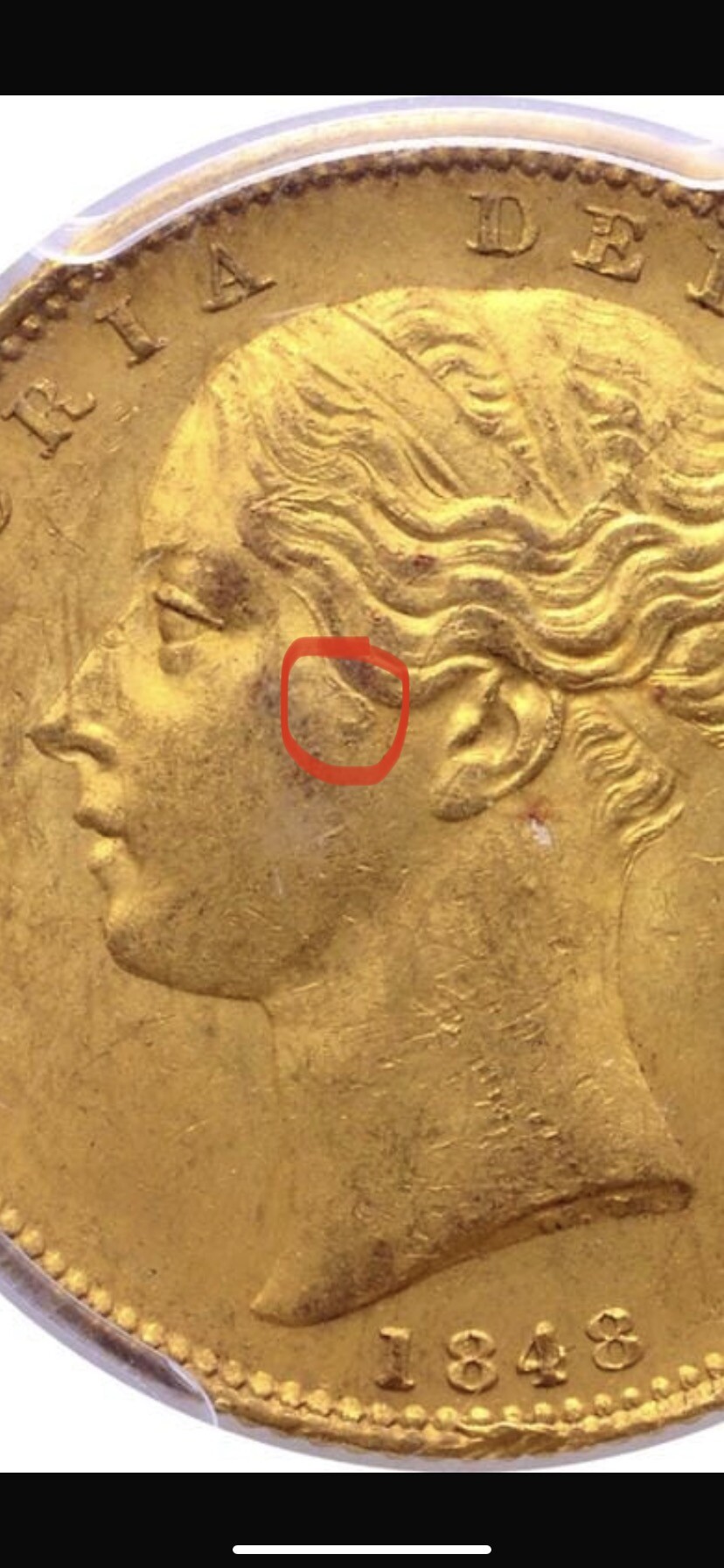 Would this Shield Sovereign be worth grading? - Gold - The Silver Forum