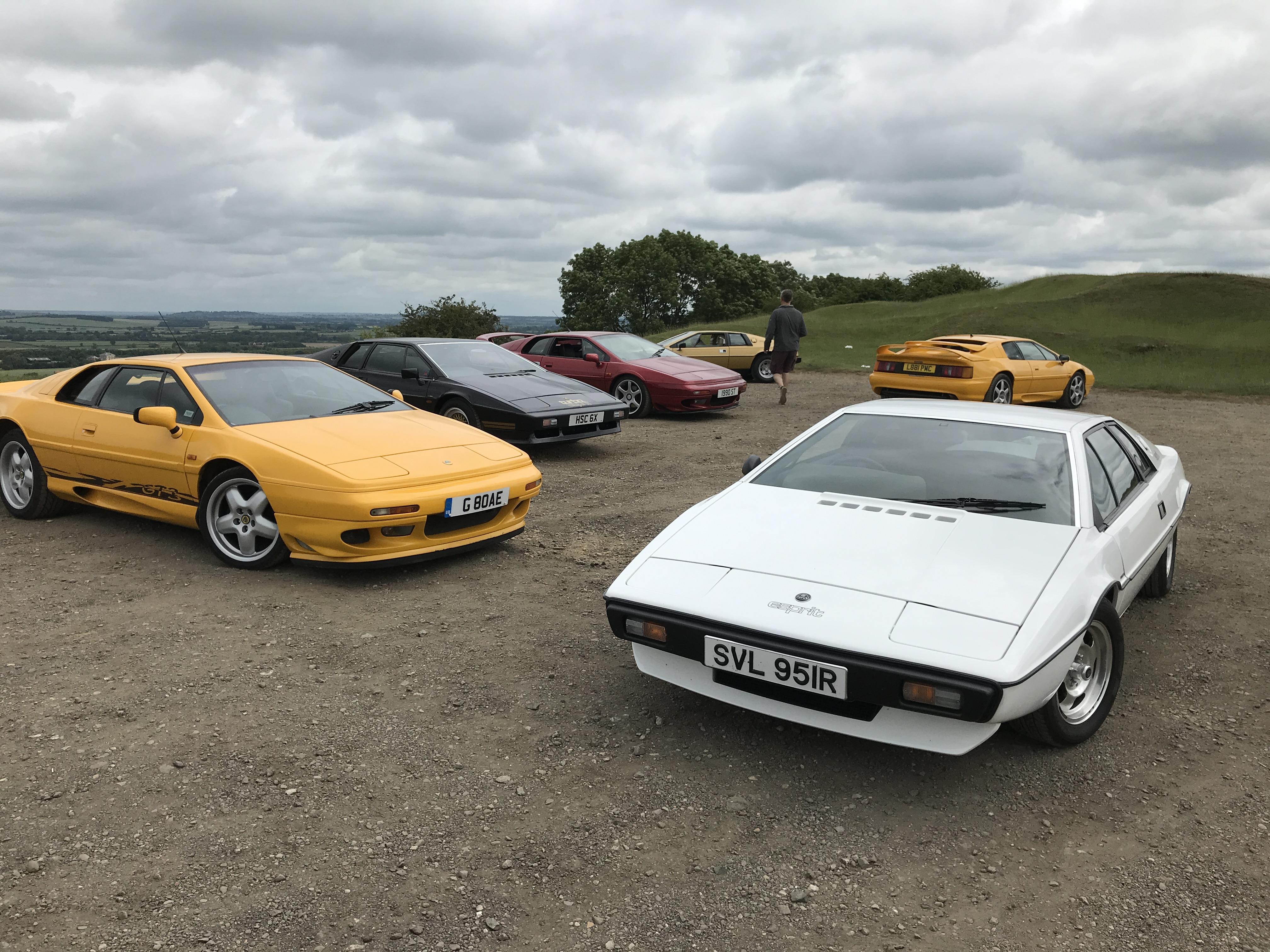 Absolute Lotus pre photo shoot and some beers - Esprit Chat - TLF ...