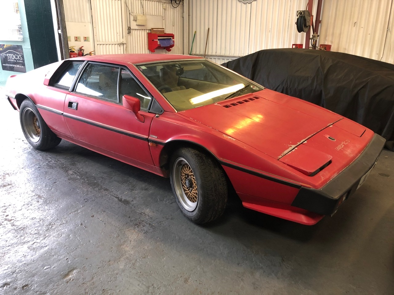 LOTUS ownership - Esprit Chat - TLF - Total Lotus