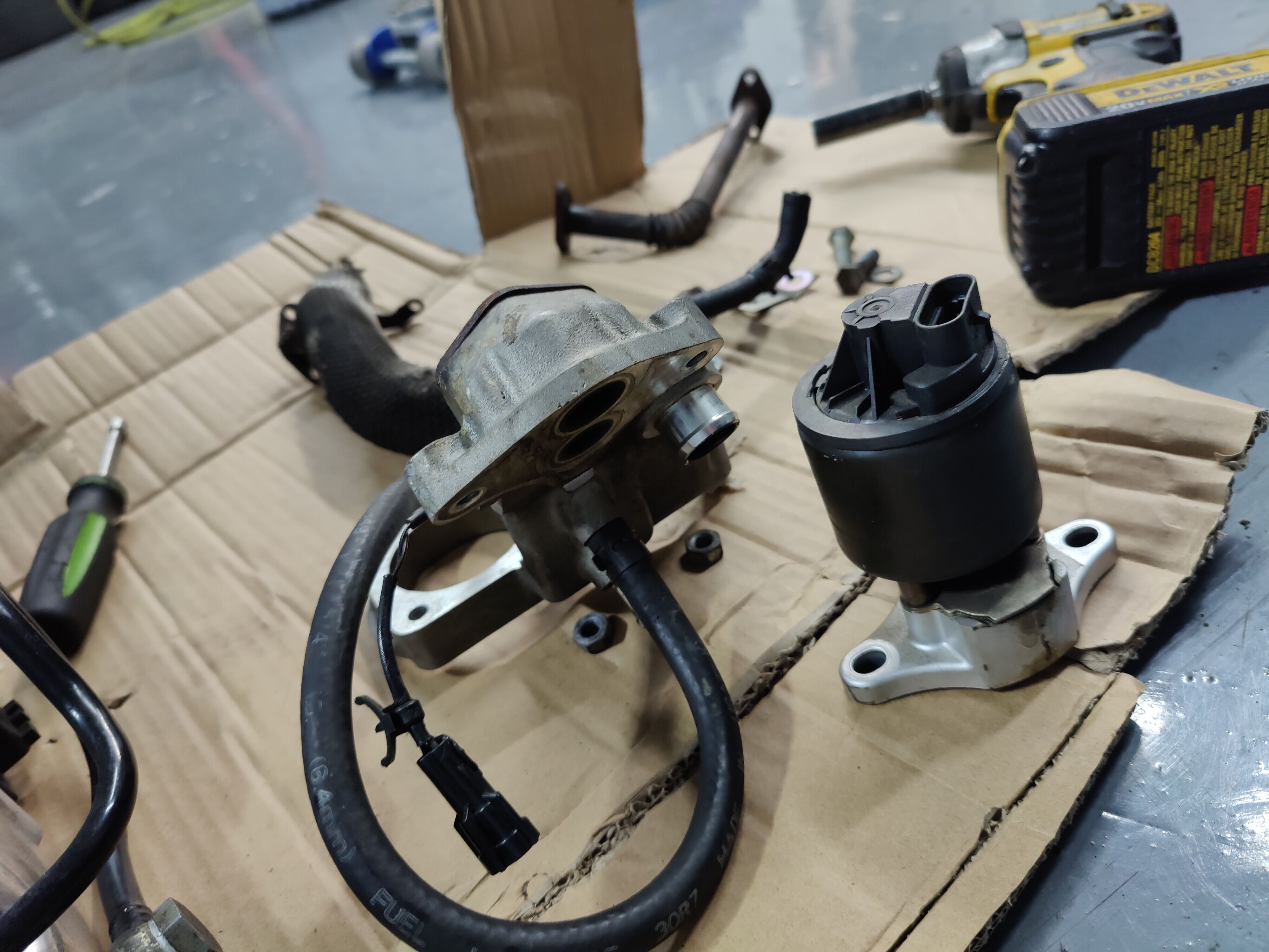 EGR Removal - Induction/Turbo/Manifold/Exhaust - TLF - Total Lotus