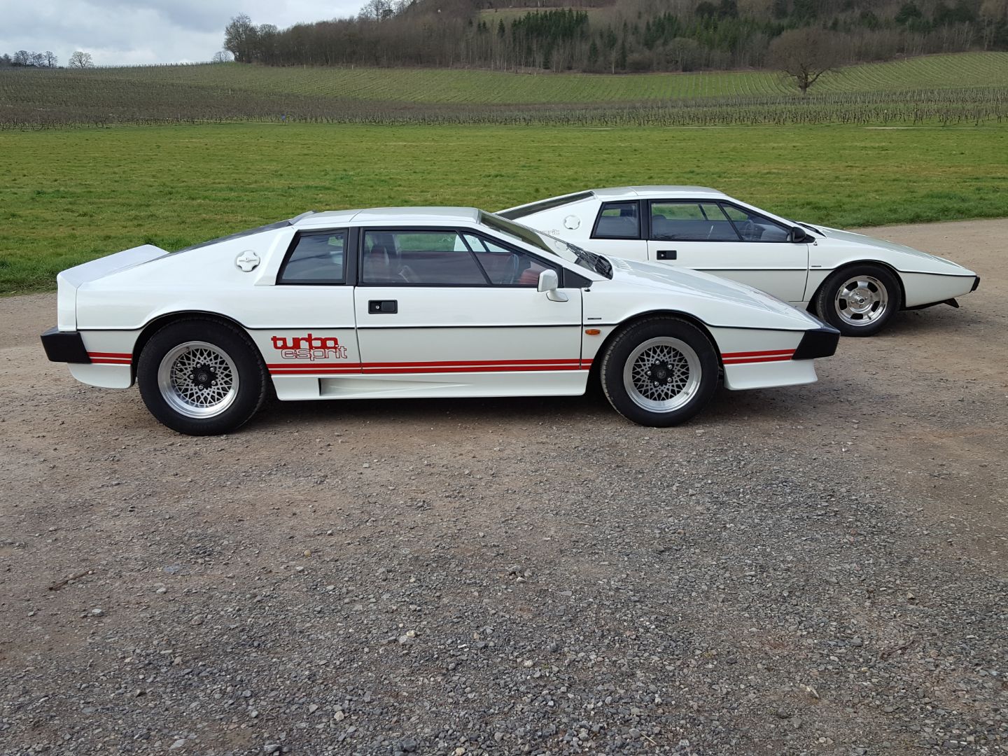 adjustable suspension Esprit Turbo questions - Suspension/Brakes/Wheels ...