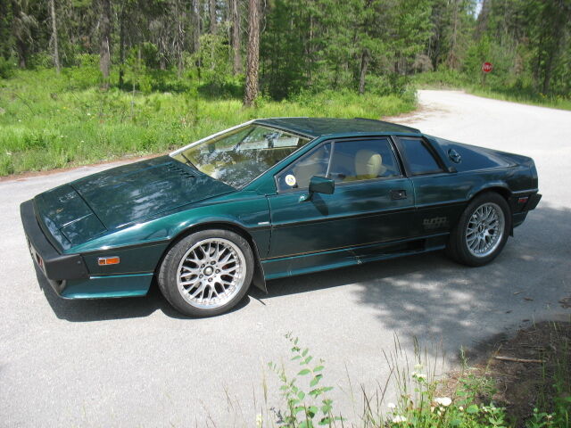 PROJECT: PHOTO! An Esprit in every factory colour...ever! - Esprit Chat ...