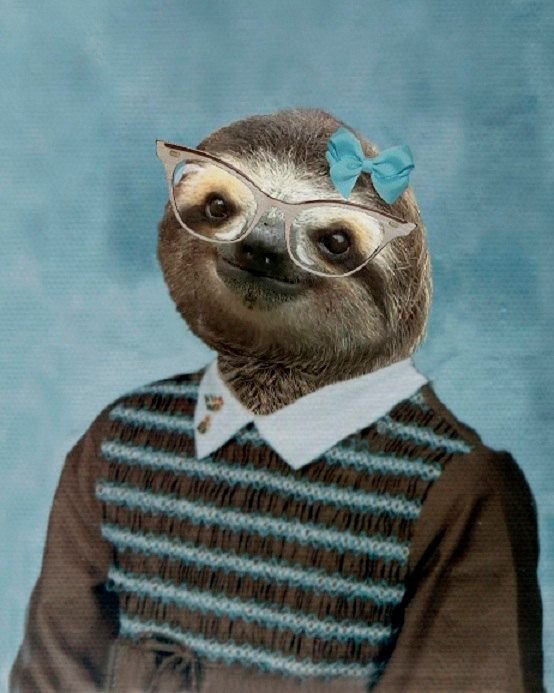 On a scale of sloths, how do you feel today? - The Lounge - BariatricPal