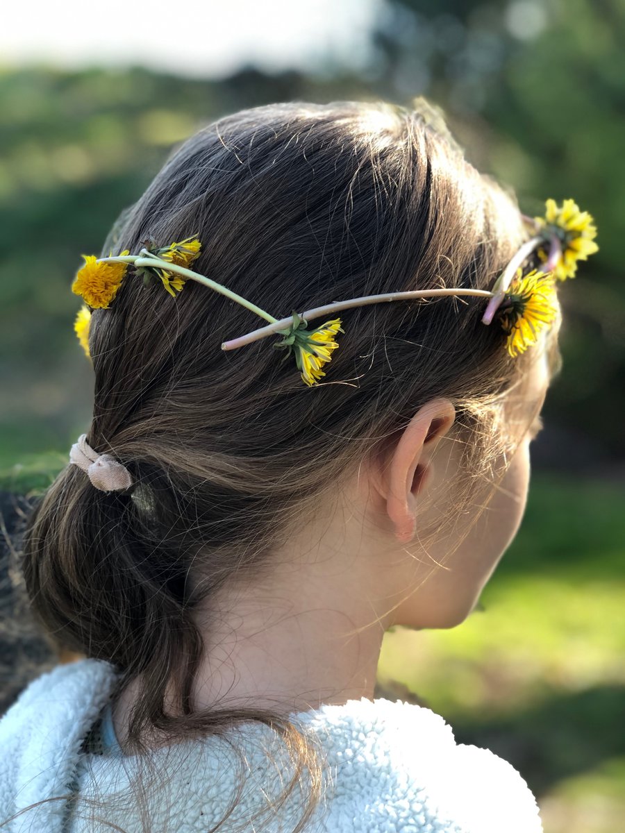 The Dandy Dandelion! For 5th and 1st Grade... - The Carrot Patch - The ...