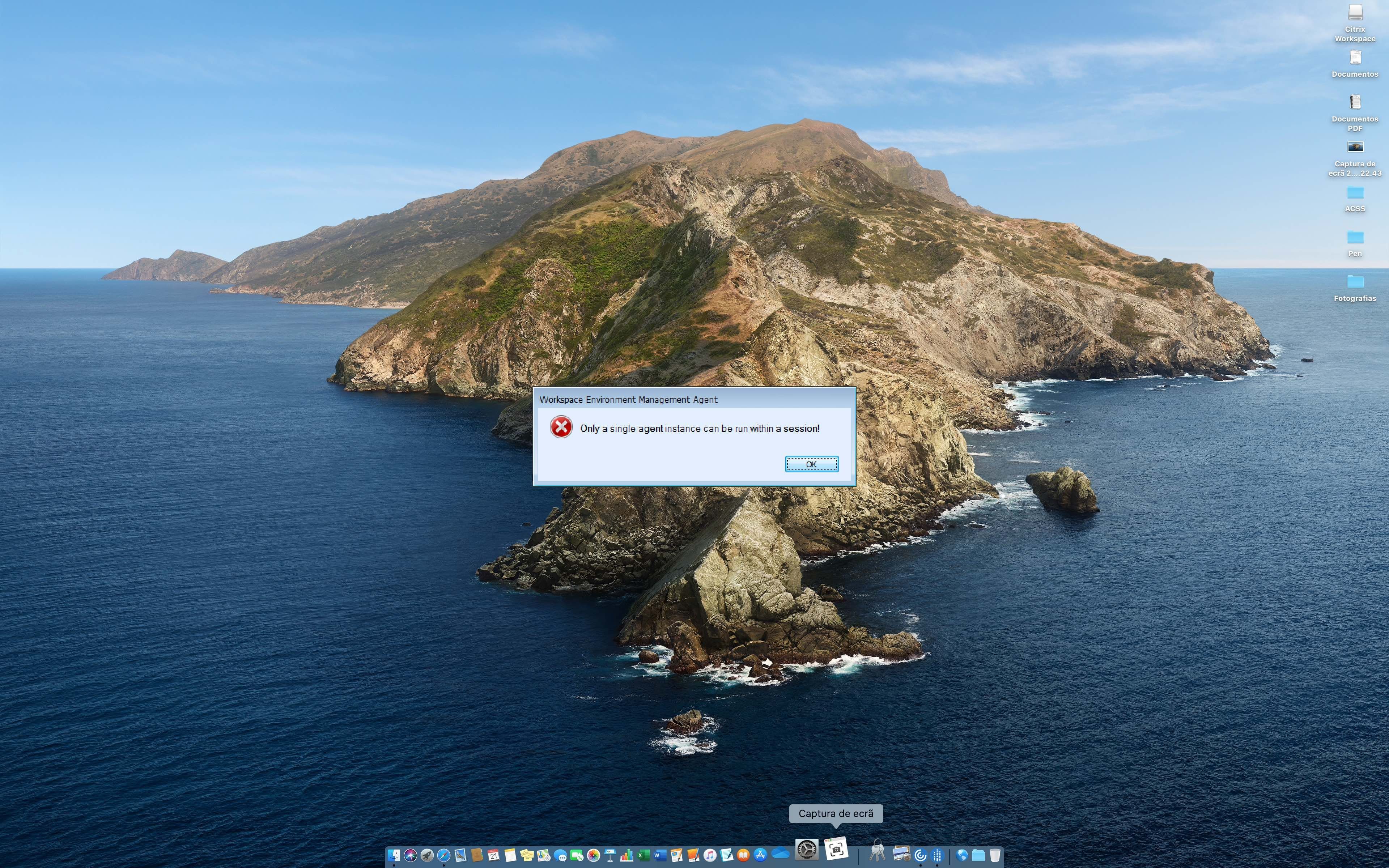 Citrix Workspace error doesn't launch app - "Only a single agent ...