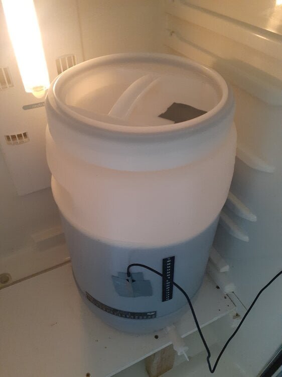 Cold Crashing - DIY Brewing Blether - Coopers Community