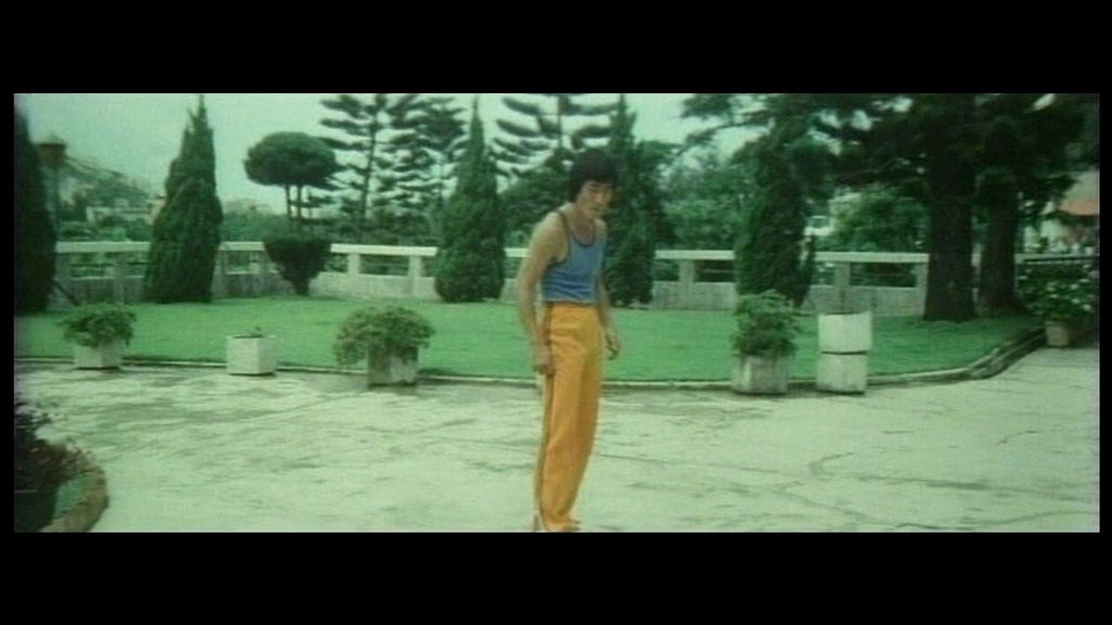 BRUCE LEE - TRUE STORY - RARE HARTBOX DVD EDITION - Marketplace - Kung ...
