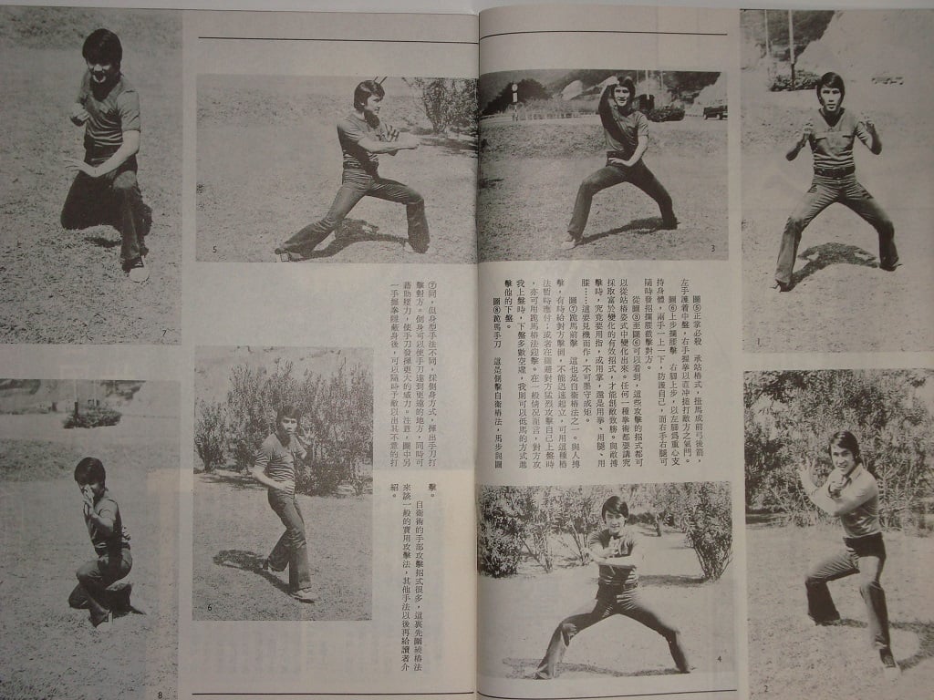 Tony Liu/Lau Wing - Martial Arts Movie Actors & Actresses - Kung Fu Fandom