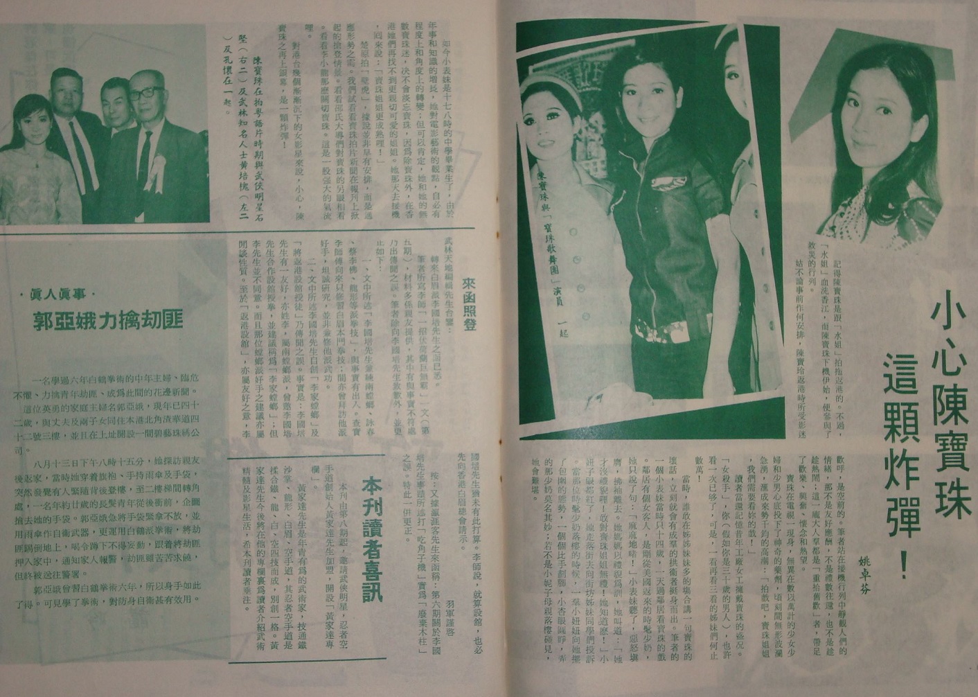Shek Kin - Martial Arts Movie Actors & Actresses - Kung Fu Fandom