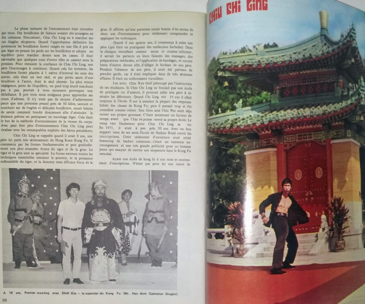 Chiu Chi Ling - Martial Arts Movie Actors & Actresses - Kung Fu Fandom