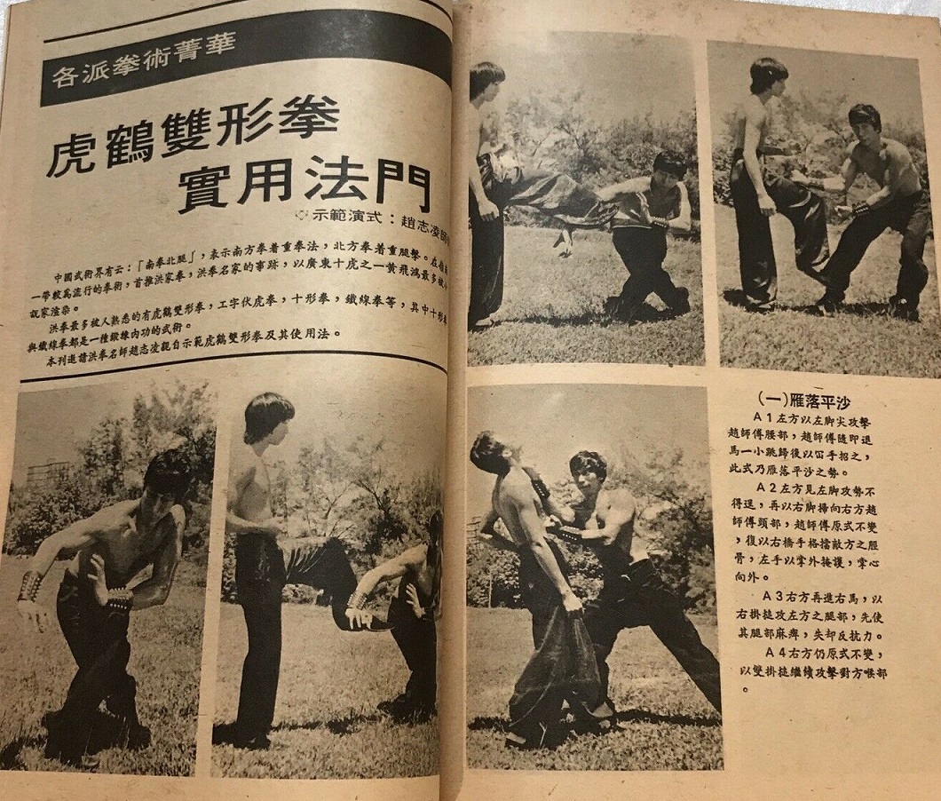 Chiu Chi Ling - Martial Arts Movie Actors & Actresses - Kung Fu Fandom