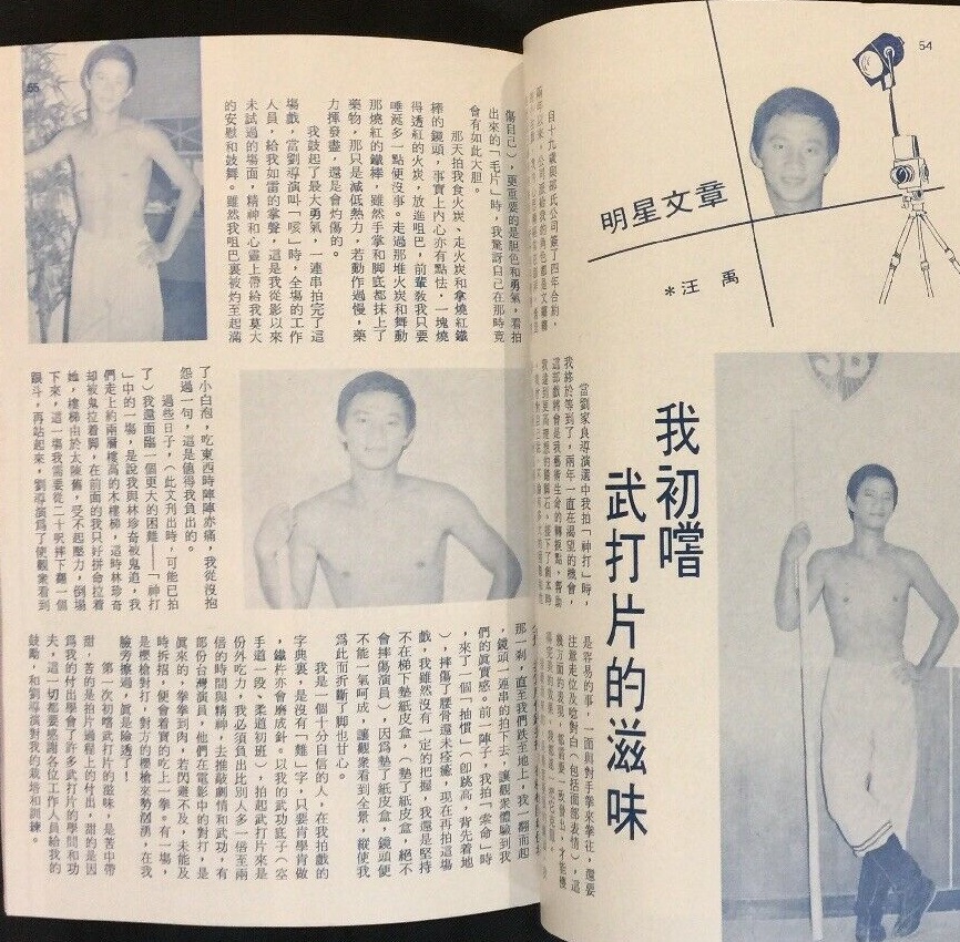 Wong Yue - Martial Arts Movie Actors & Actresses - Kung Fu Fandom