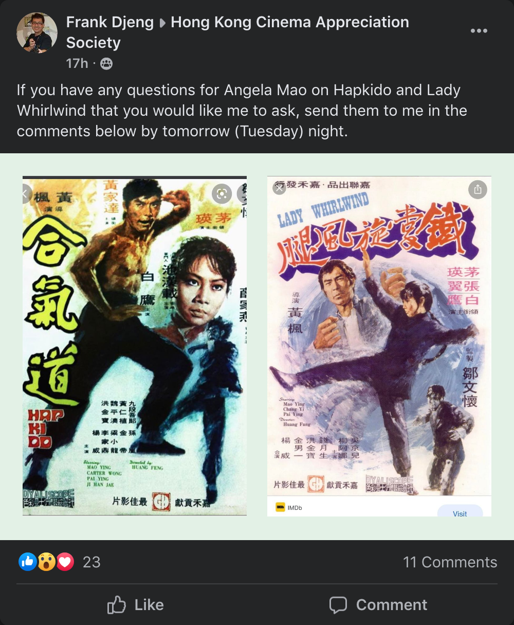 Angela Mao - Page 3 - Martial Arts Movie Actors & Actresses - Kung Fu ...