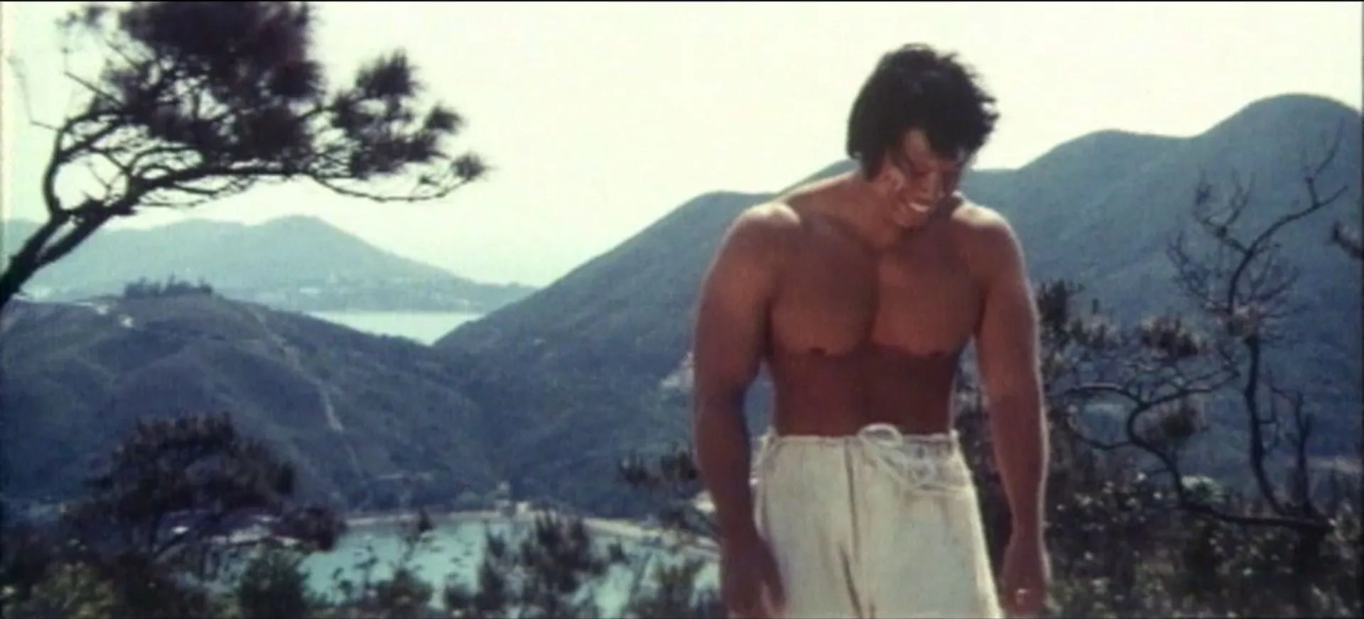 Bolo Movie ID Help - Questions & Answers - Kung Fu Fandom