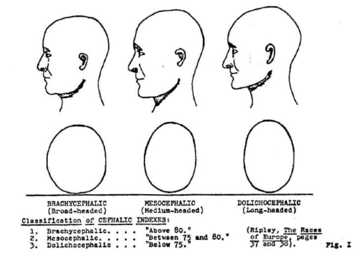 Dr Sethi, Eugenix | Three Sittings (Mar 22, Oct 22 & Feb 24) | 11,166 ...
