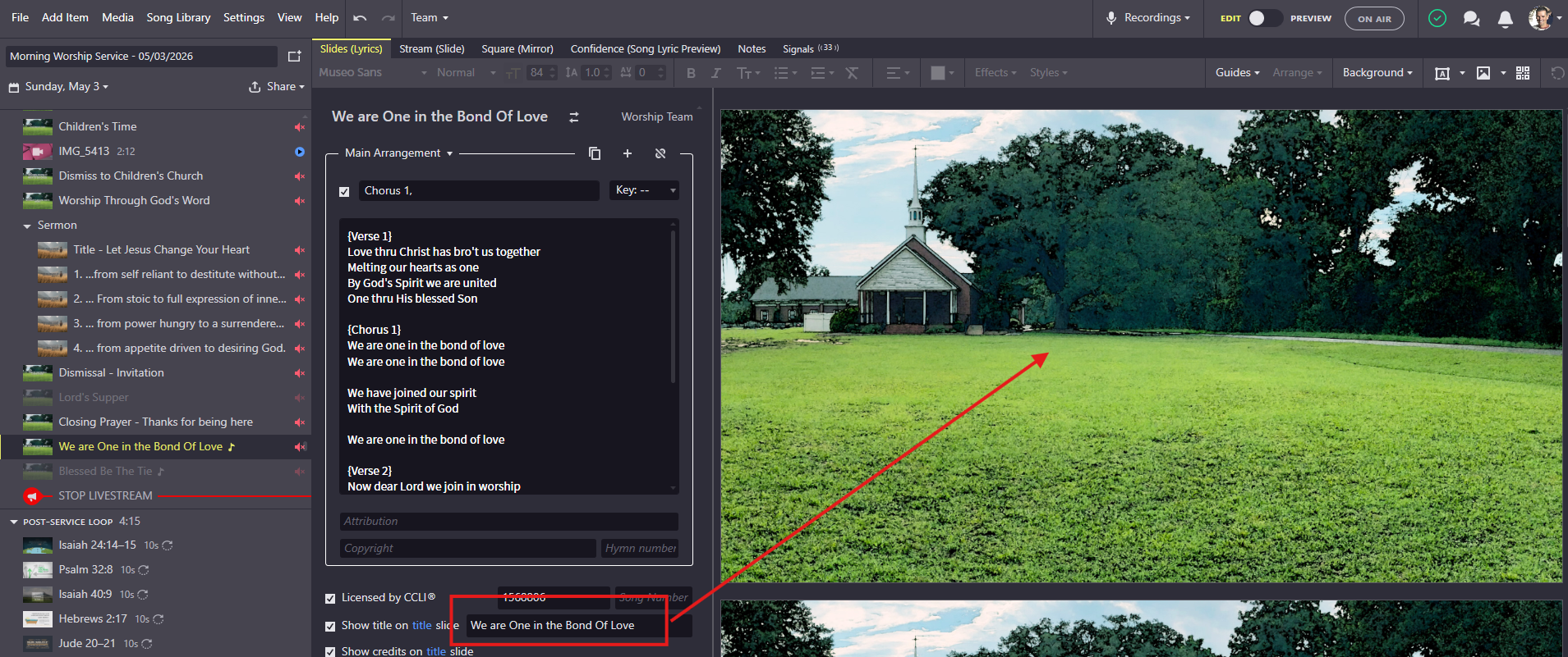 Text on slides in editor do not appear, the text is completely hidden ...