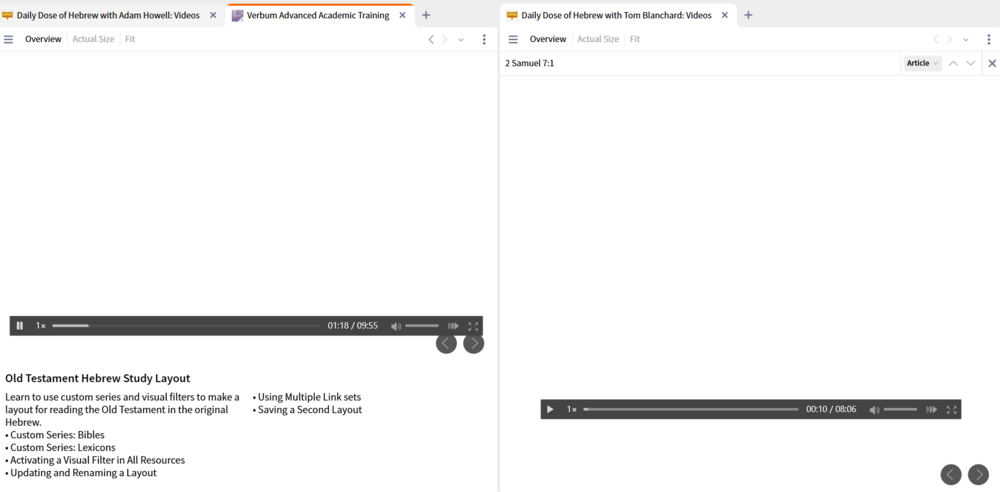 Videos only have audio on Desktop App!!! please fix - Logos and Verbum ...