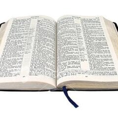 Revision Revised, The Causes of the Corruption of the Traditional Text ...