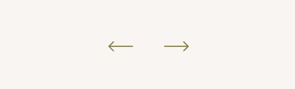 How can I customize the arrows on the summary carousel? - Customize ...