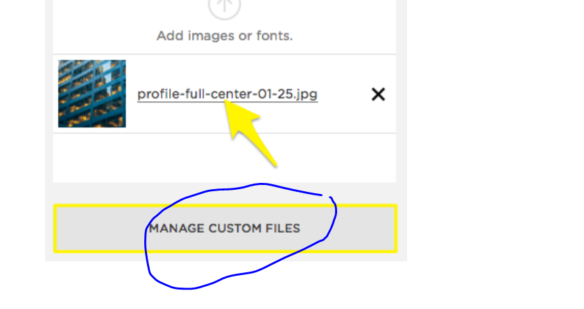 Not able to see "Manage custom files" button in order to copy the URL ...