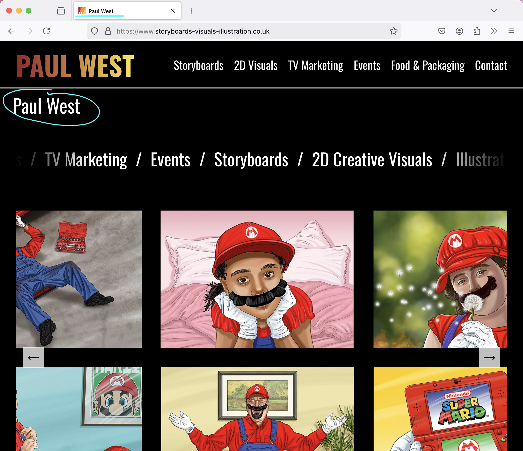 How do I display a Portfolio Page Title and Project Title? - Other ...