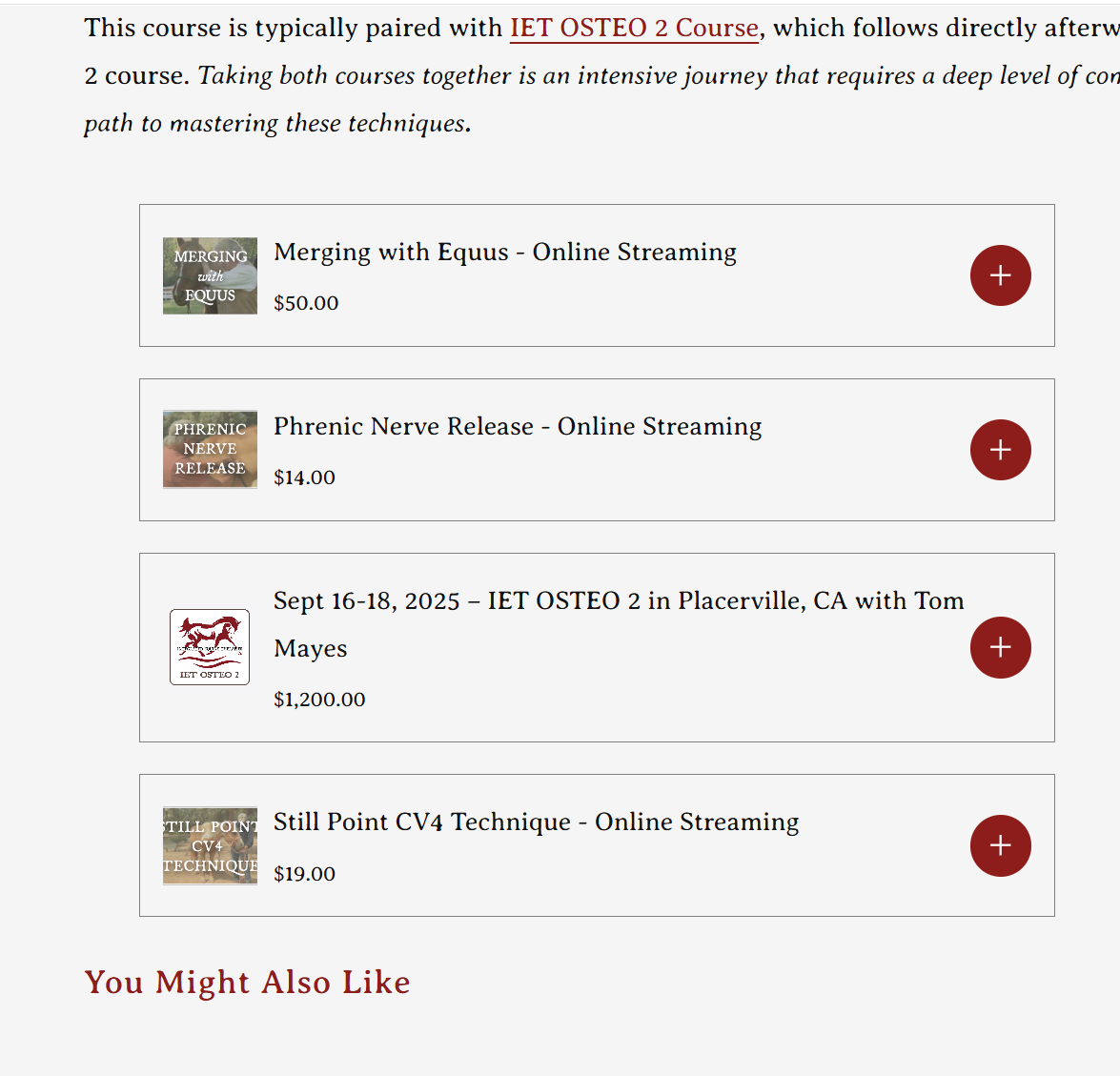Moving "Add-Ons" Below Additional Info on Product Page - Customize with ...