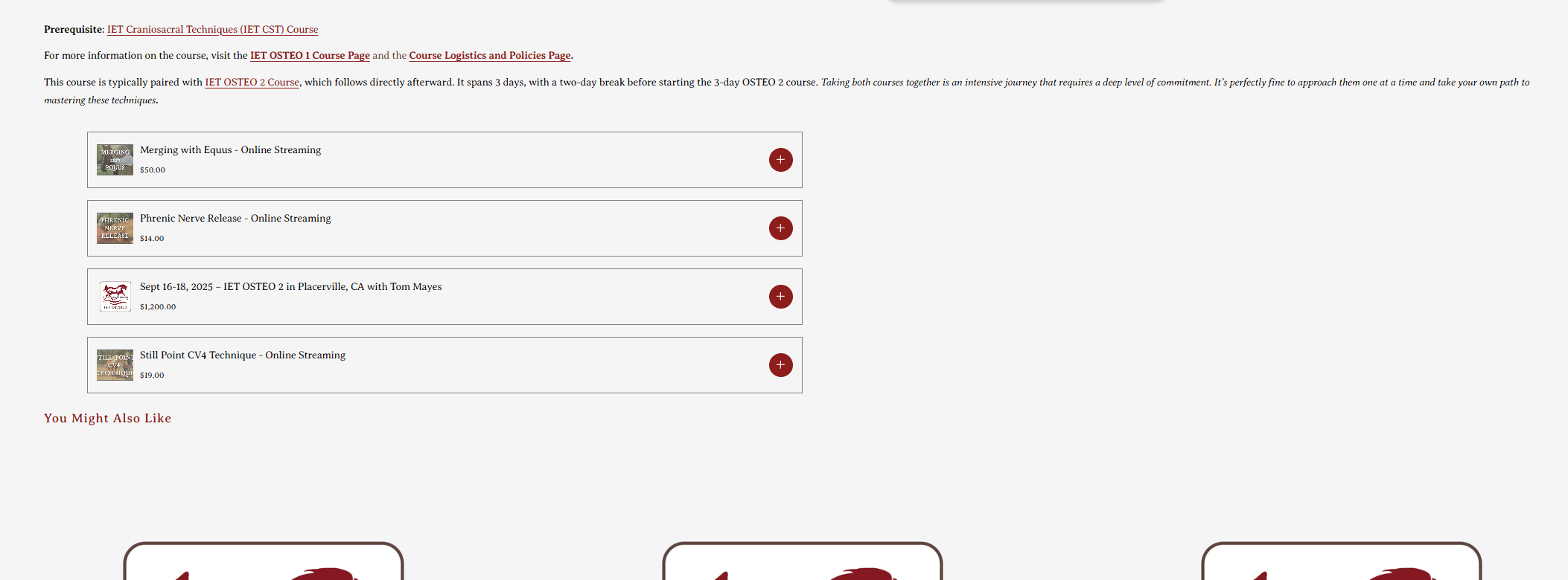 Moving "Add-Ons" Below Additional Info on Product Page - Customize with ...