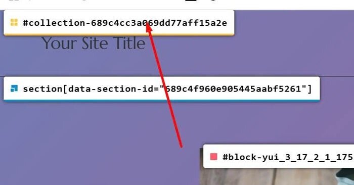 [Share] How to add animated background color to One Page - Fonts ...