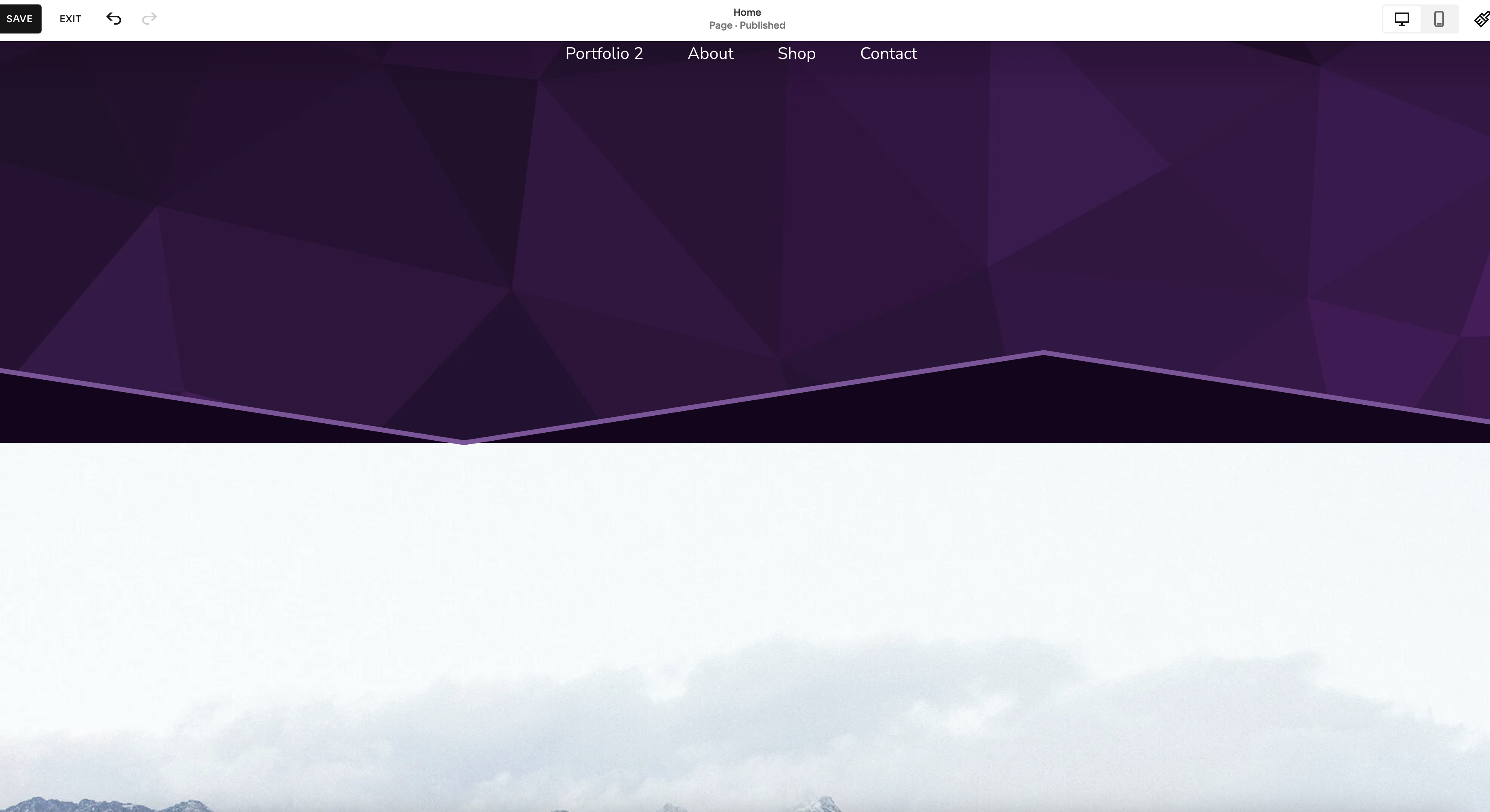 Section divider over a Gallery section? - Site Design & Styles ...