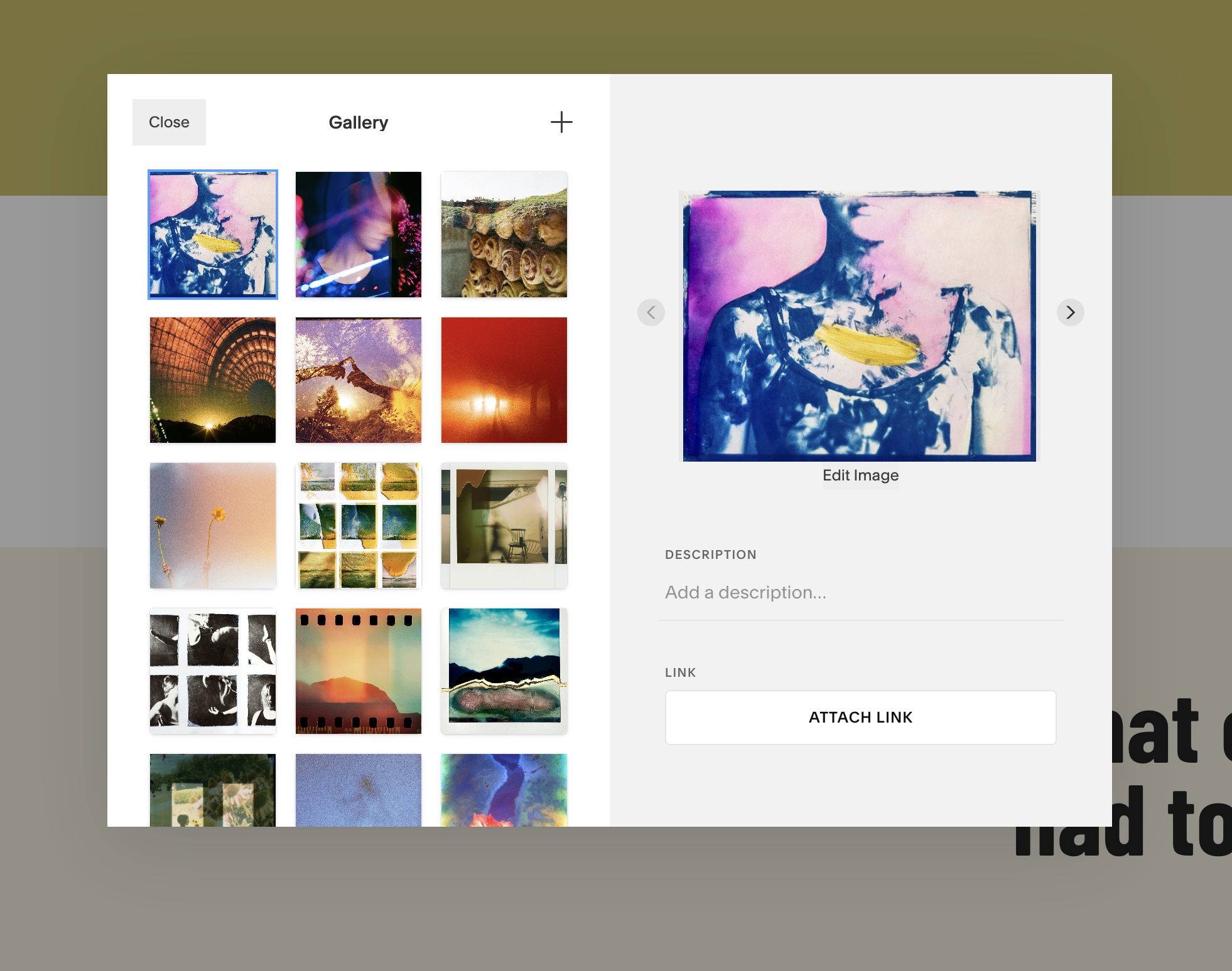 Gallery Reel Slideshow - only one image showing (first image) - Best ...