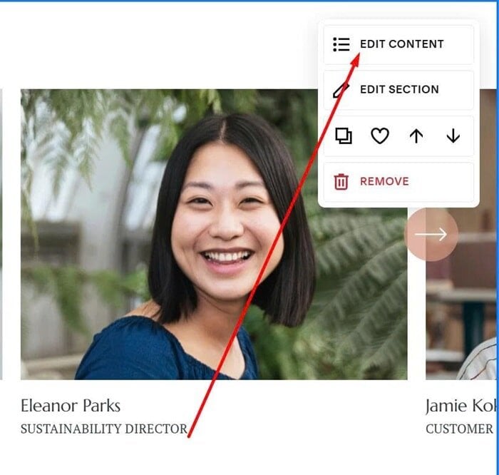 [Share] How to remove arrows in Carousel Slide - Fonts, colors and ...
