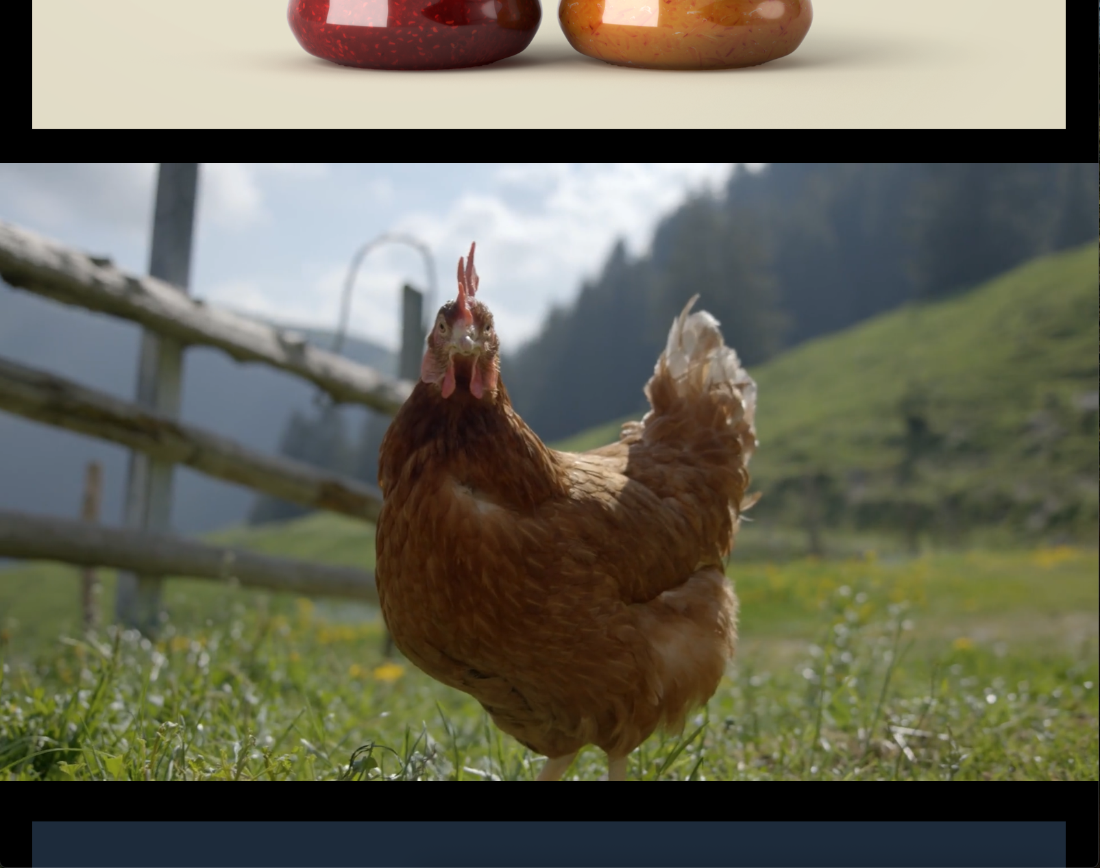 Remove padding from video block - Other - Squarespace Forum