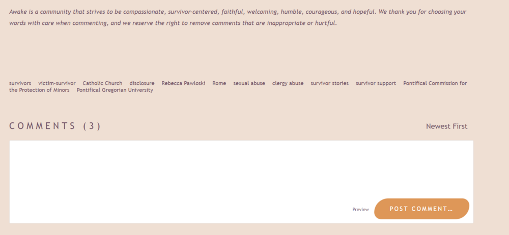 Adding a comment policy directly above comment box (after tags) - Blogs ...