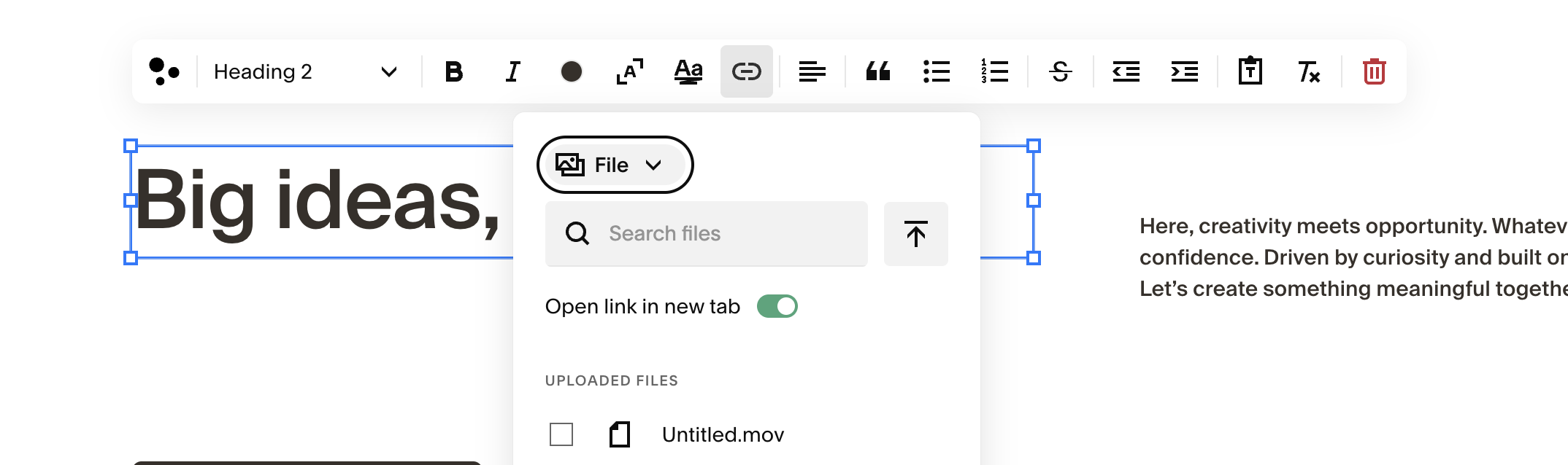 How can I find the URL of my video? - Fonts, colors and images ...
