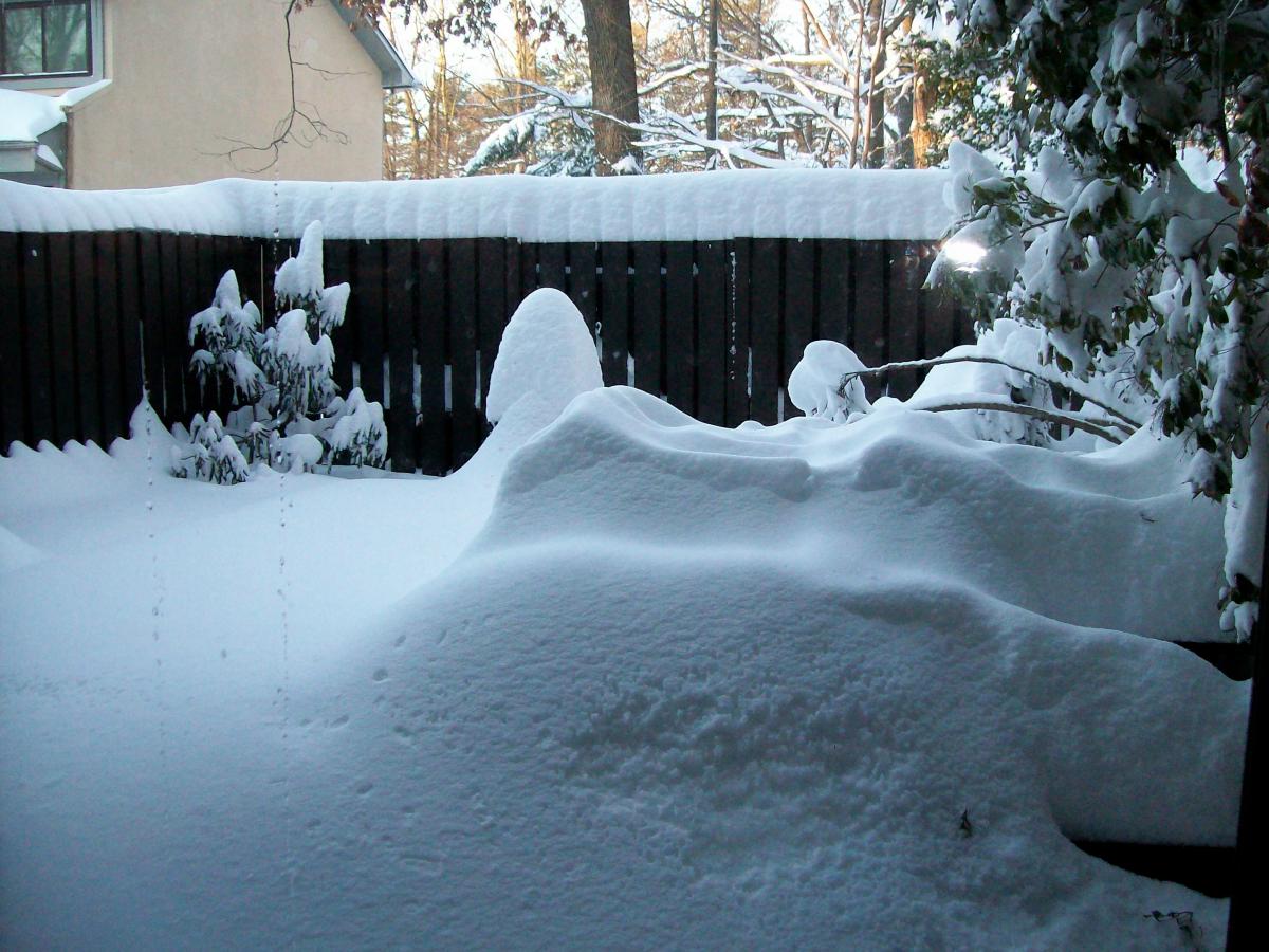 Official Forum Snow Gage-Snowmageddon II - Lounge - The Klipsch Audio ...