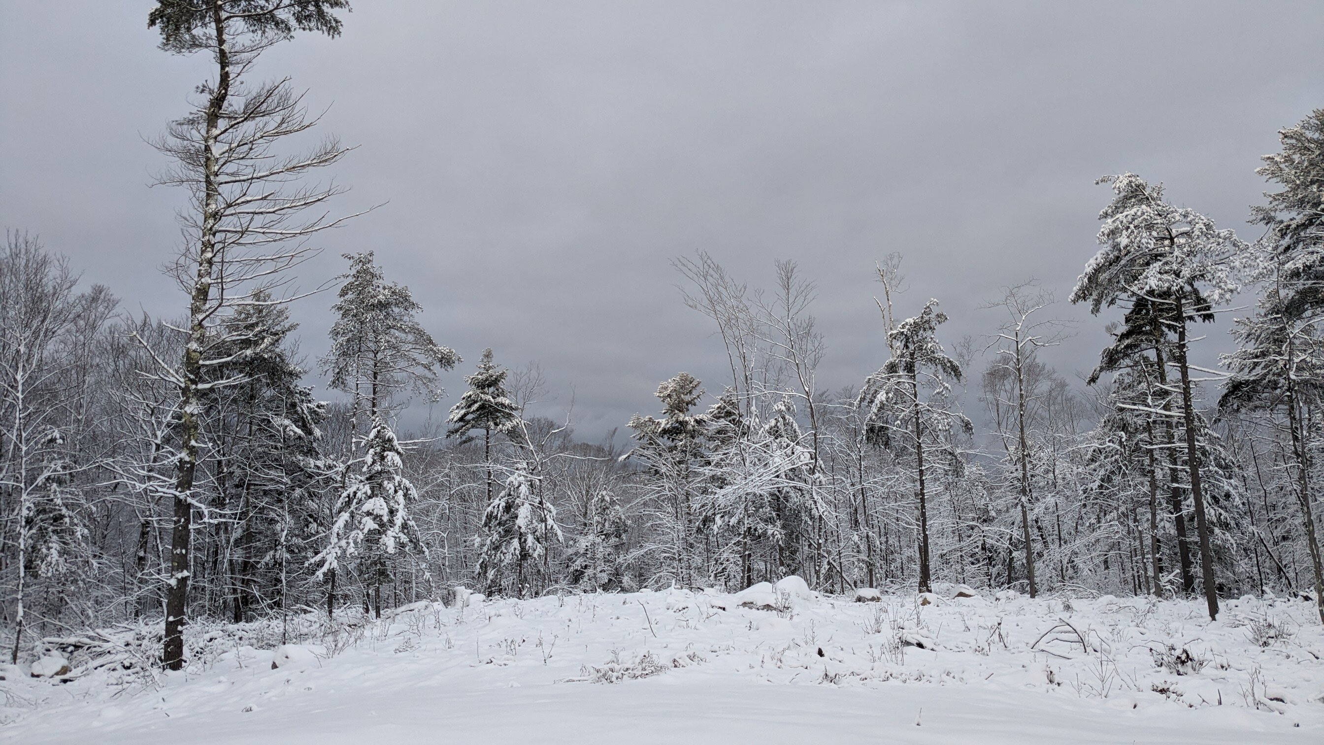 December 3-4, 2023 | Winter Storm - United States - WXSPHERE
