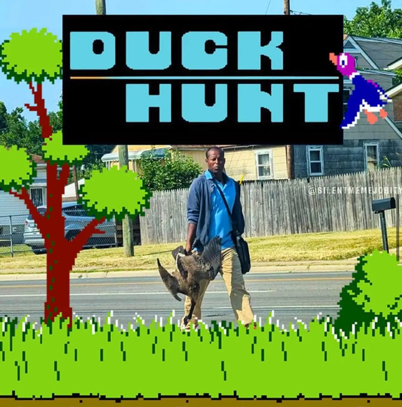 Springfield Ohio - ducks and pets missing, crime way up, woodpecker's ...
